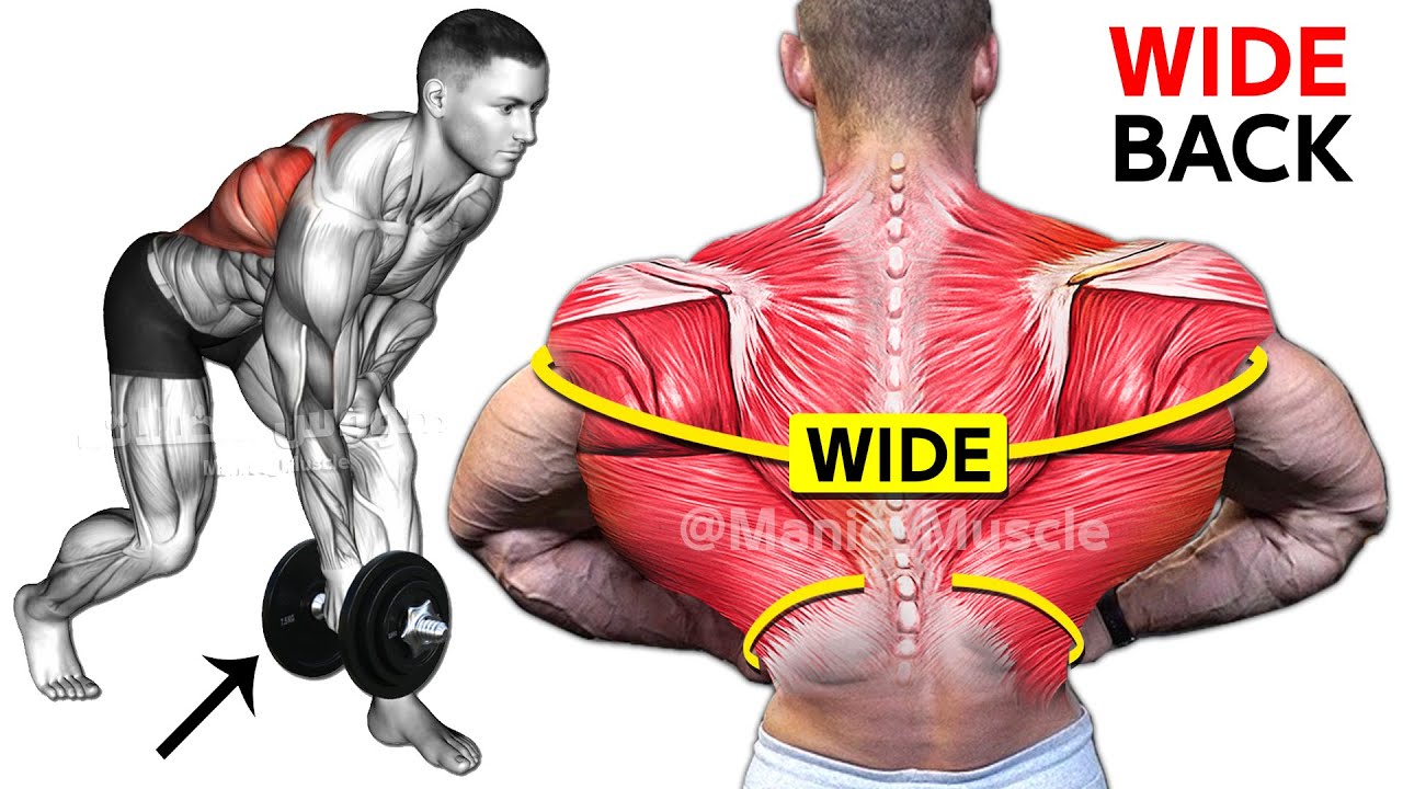 FULL BACK WORKOUT | Targets: Lower Back - Upper Back - Middle Back ...