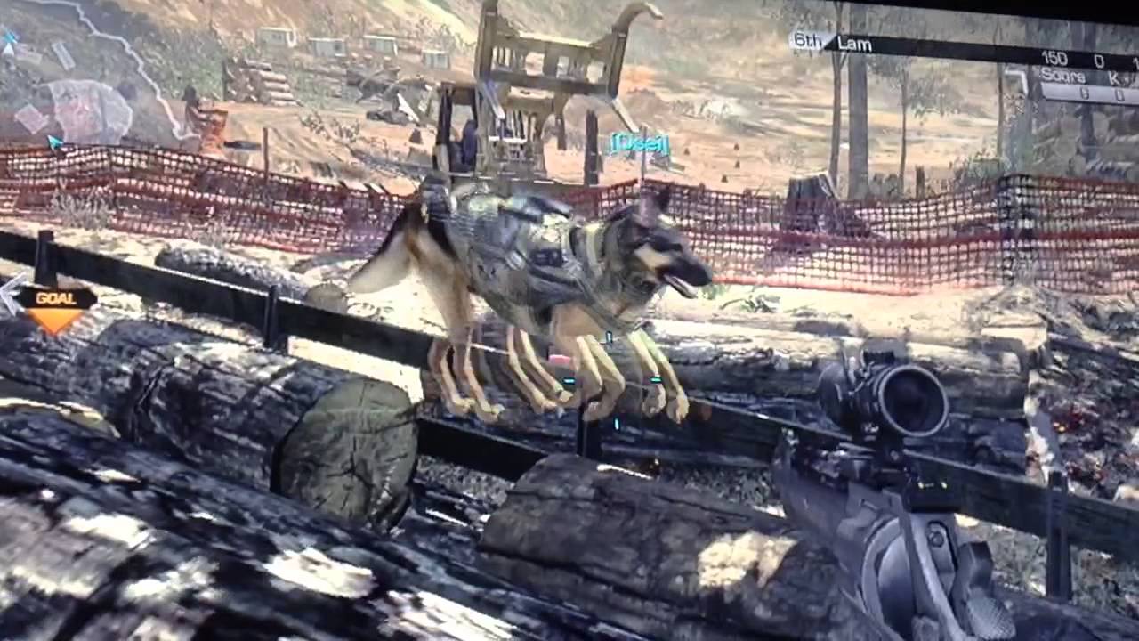 Cod ghosts dog on a treadmill - YouTube