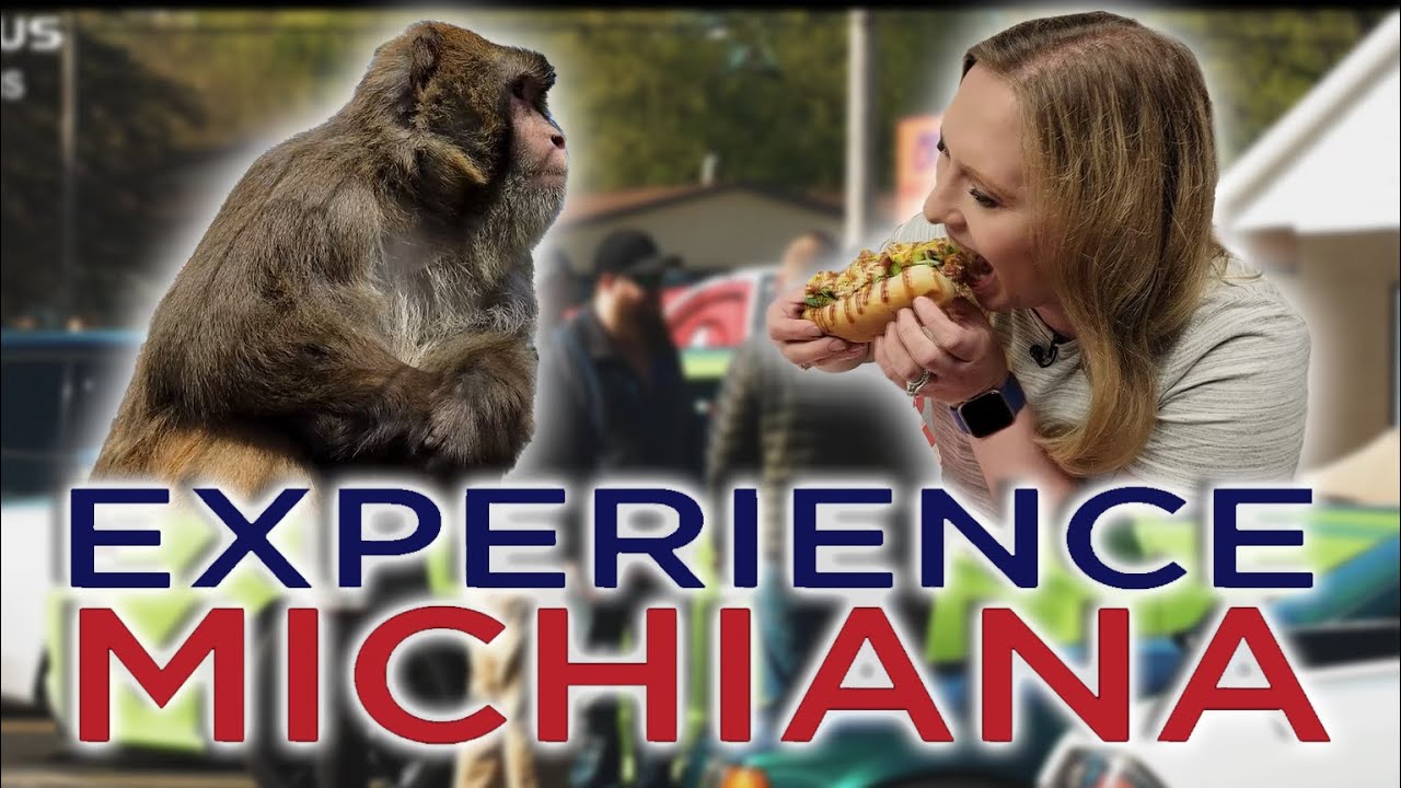Experience Michiana: Peaceable Primates, The Dog LB, CarGuys and Coffee ...