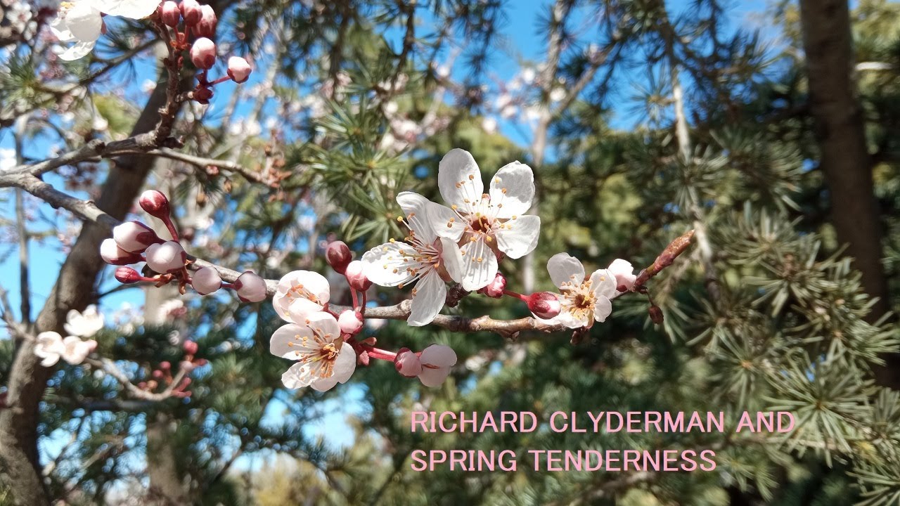 Relaxation. Flowers and Music of Spring [Therapy for Mind and Soul ...