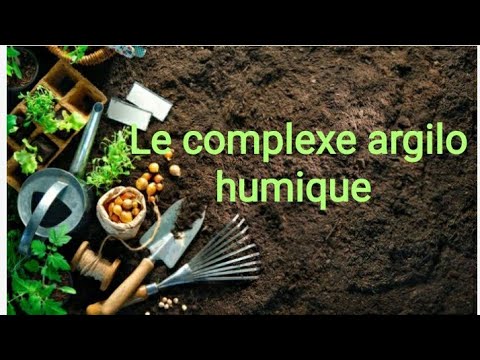 la mise en évidence du complexe argilo humique tronc commun BIOF - YouTube