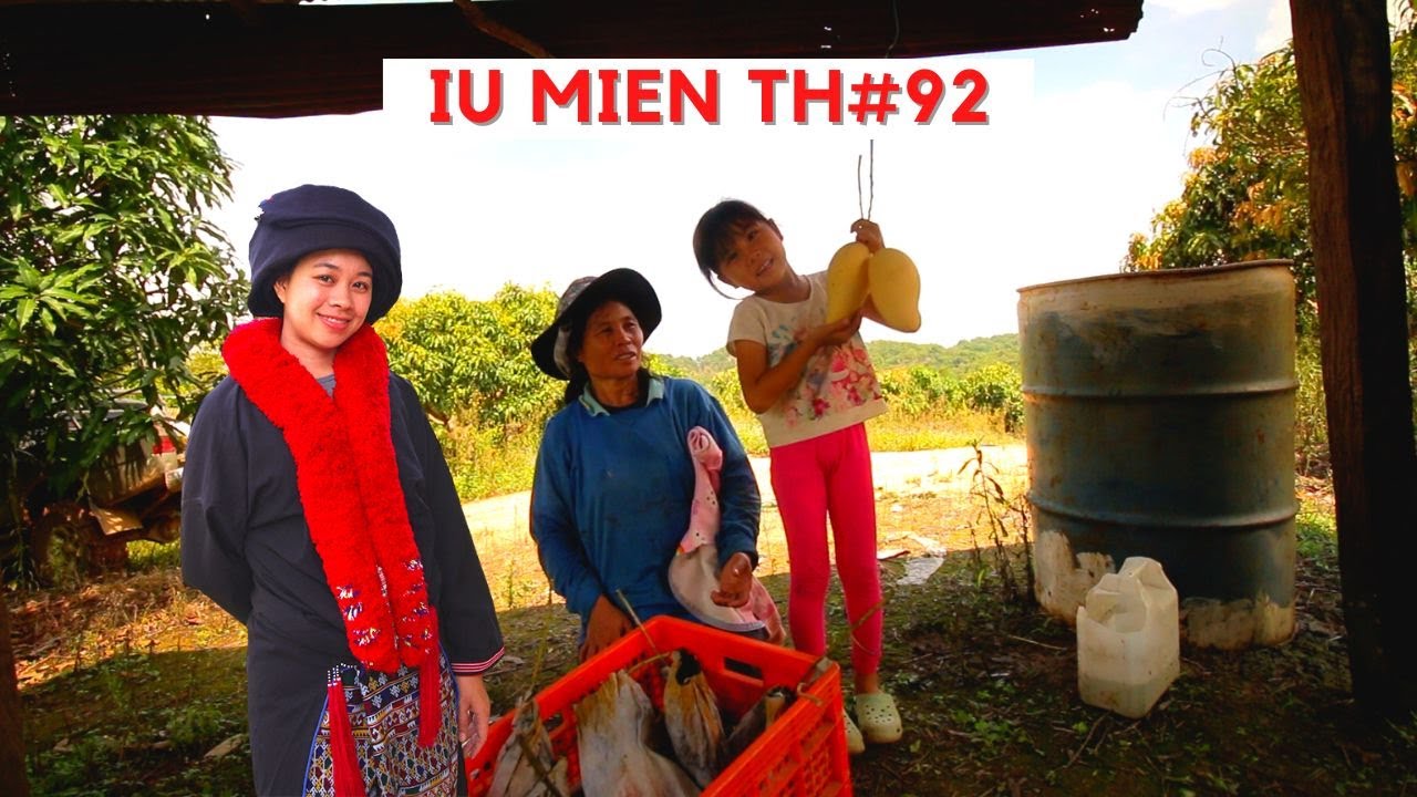 Iu Mien Thailand EP92 | Fruit picking on a farm in Iu Mien farm - YouTube