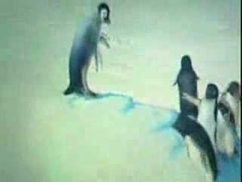 Karadenizli Penguen(www.turklerforum.com)