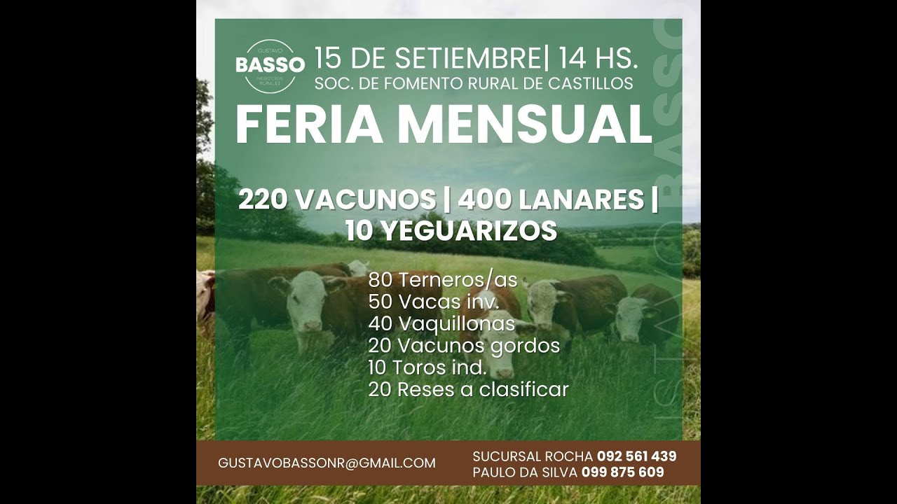 15/09/2023 Sociedad Fomento de Castillos - Gustavo Basso Negocios ...