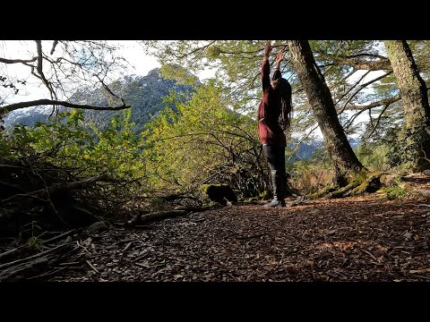 Desafío de pausas activas (yoga en silla) Día 9/10