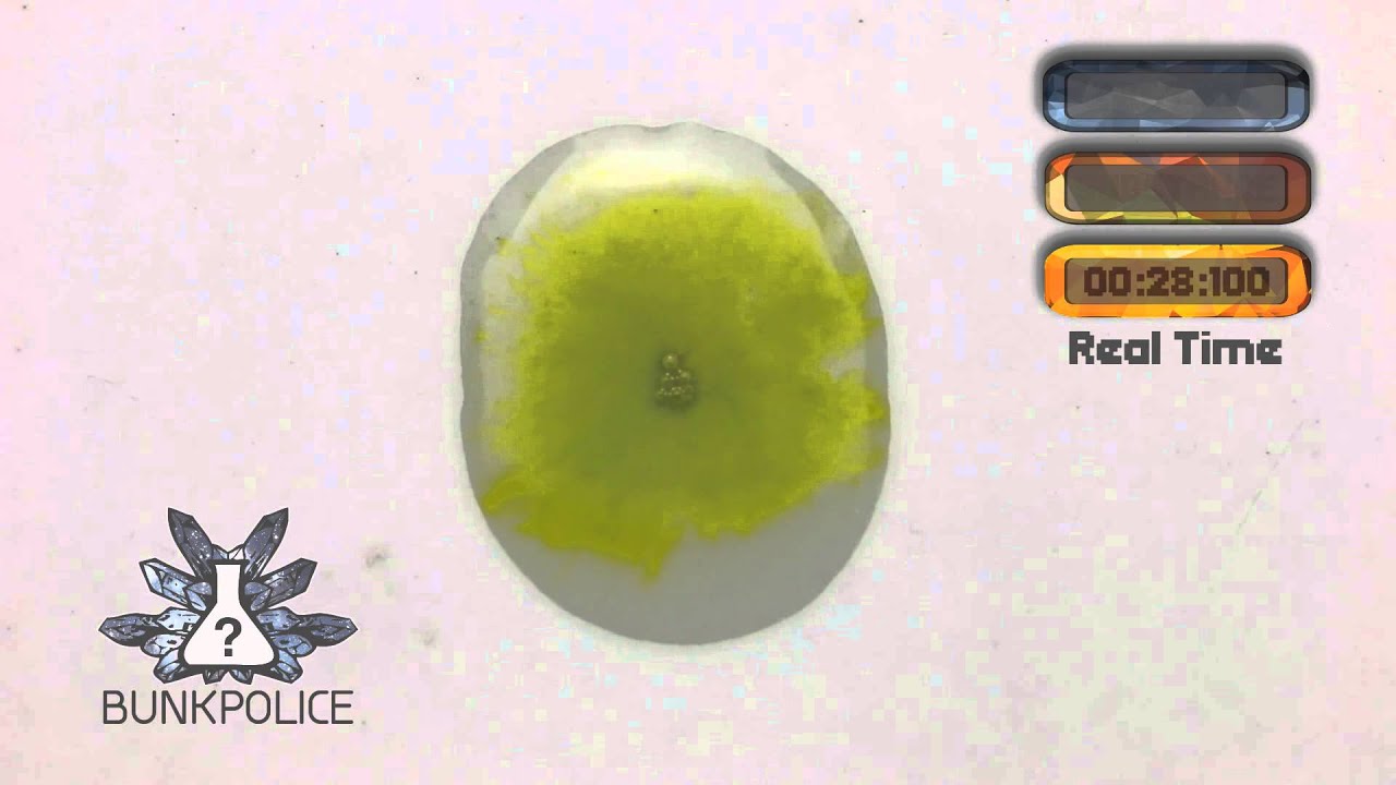 2C-B - Froehde Reagent - Normal Test Kit - Bunk Police - YouTube