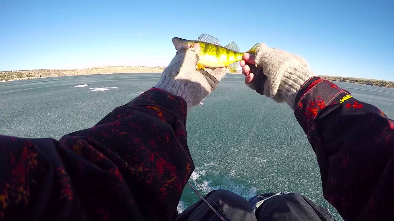 Ice fishing Starvation Reservoir, Utah - YouTube