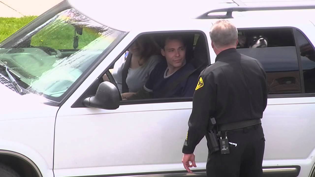 Walls: Goodbye Serious - YouTube