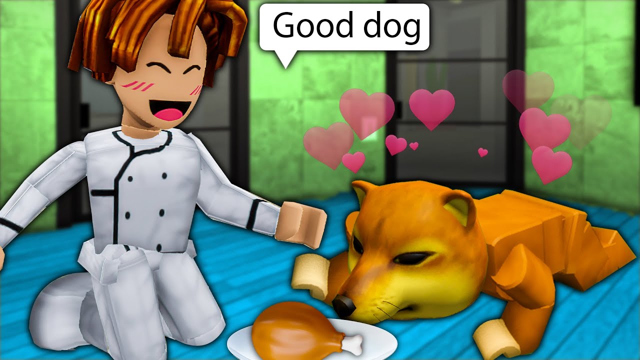 ROBLOX Brookhaven 🏡RP - FUNNY MOMENTS : Peter And Faithful Dog Part 2 ...