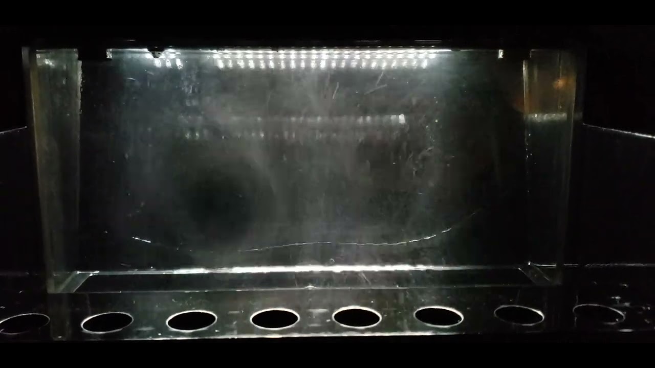 FD3S 13B-REW Mazda RX-7 primary and secondary fuel injector spray ...