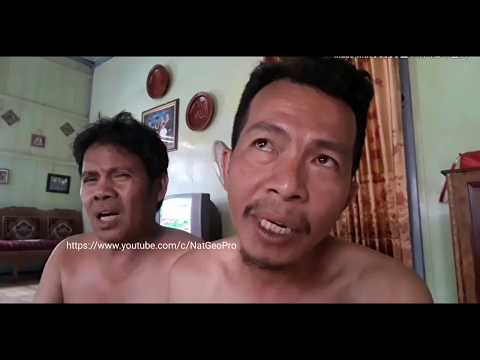 pijat wik wik