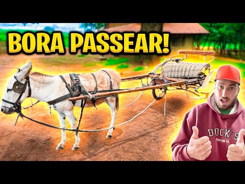SERA QUE ESSA JUMENTA PUCHA CHARRETINHA?
