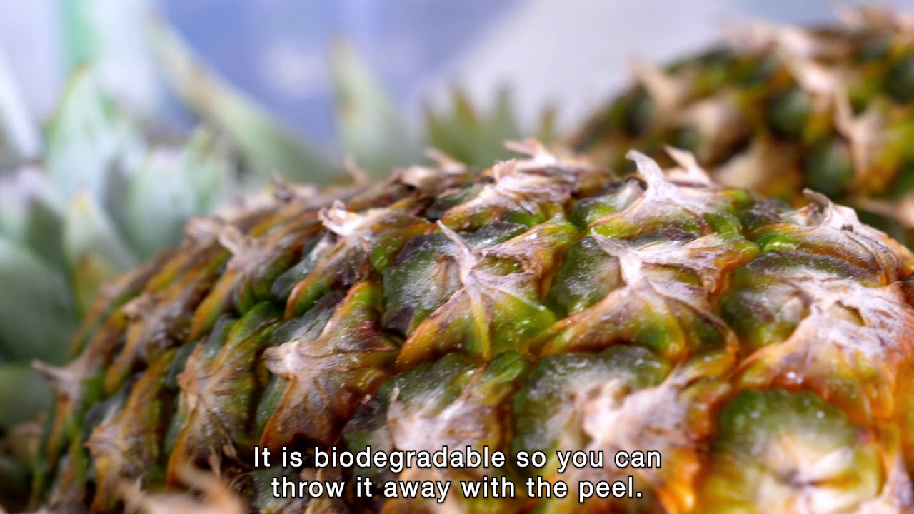 Growing Ideas: Invisible coating keeps fruit fresh for longer - YouTube