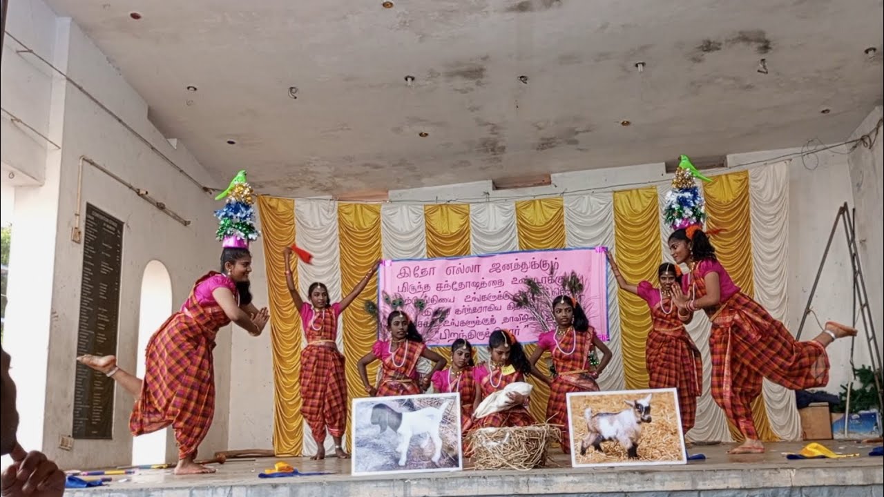 Folk Dance | Endeavour Rally Fest 2023 - YouTube