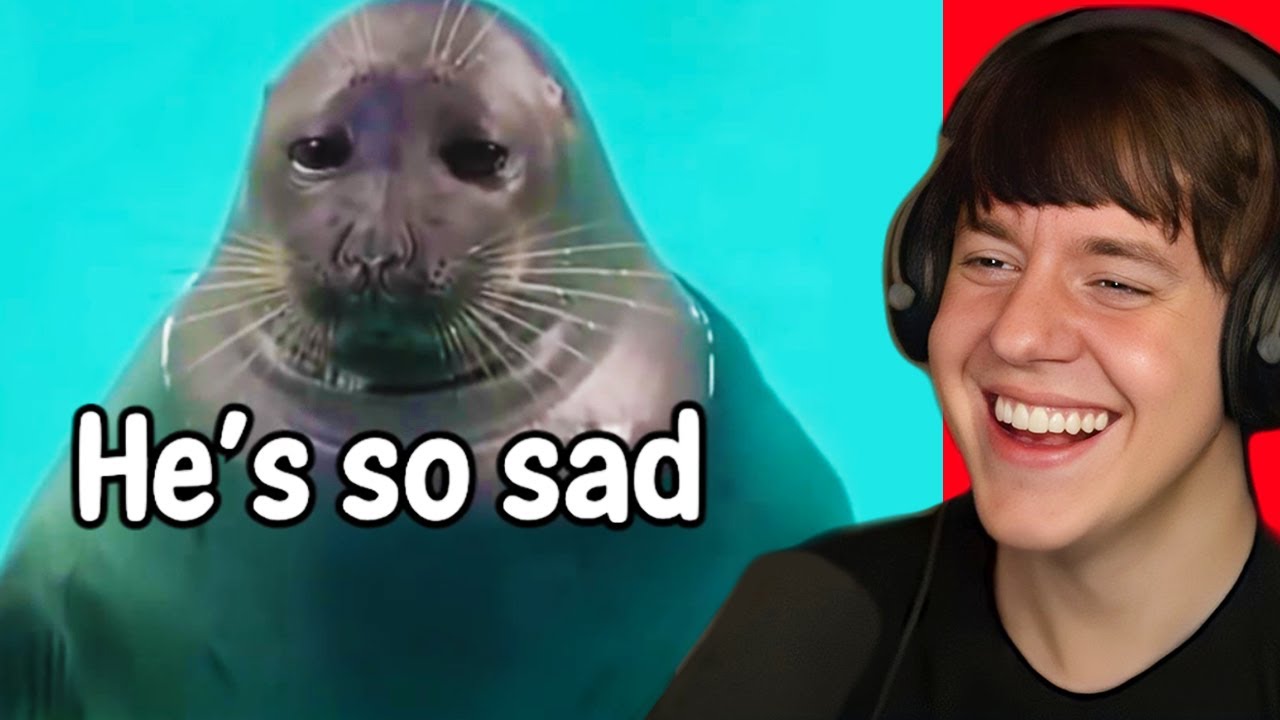 YUMI REACTS TO UNUSUAL MEMES - YouTube