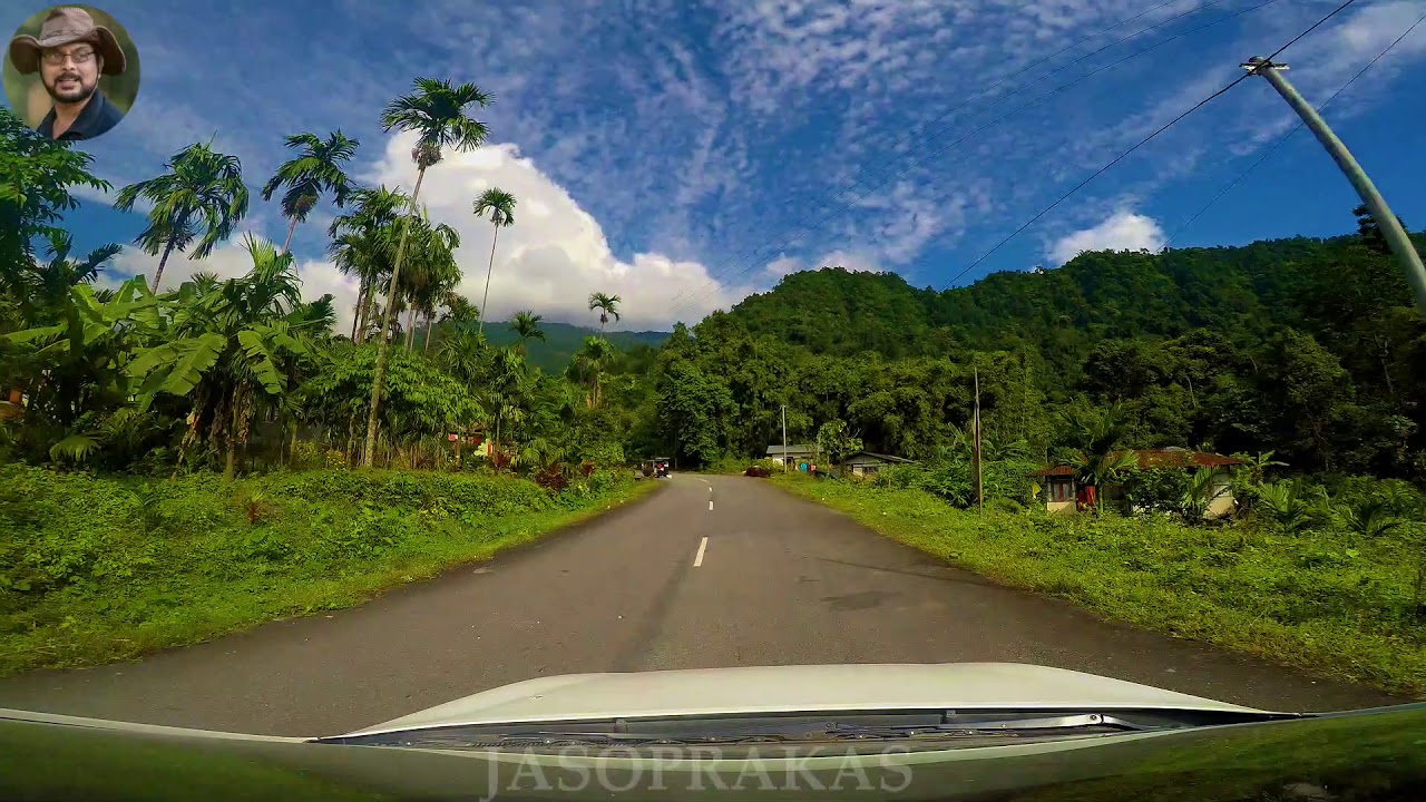 Beauty Of Ambiok ( Organic tea garden) up to Paparkheti. - YouTube