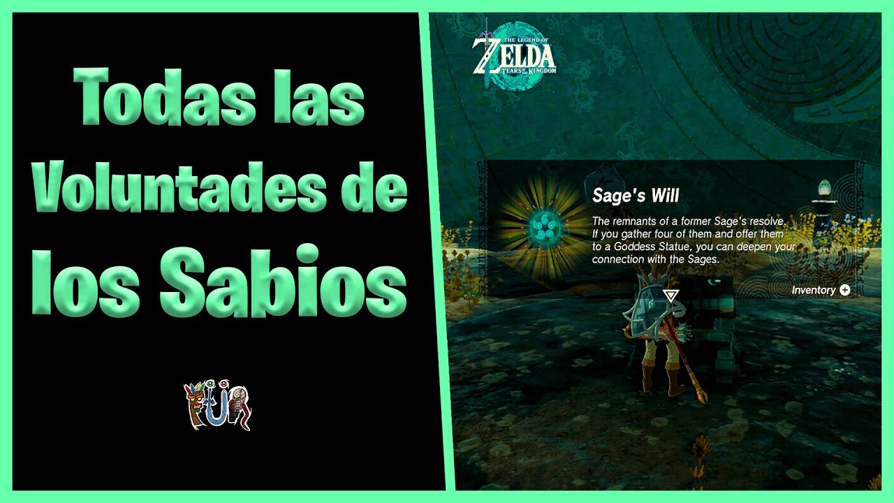 Como Encontrar TODAS las VOLUNTADES de los SABIOS en Zelda Tears of the Kingdom - YouTube