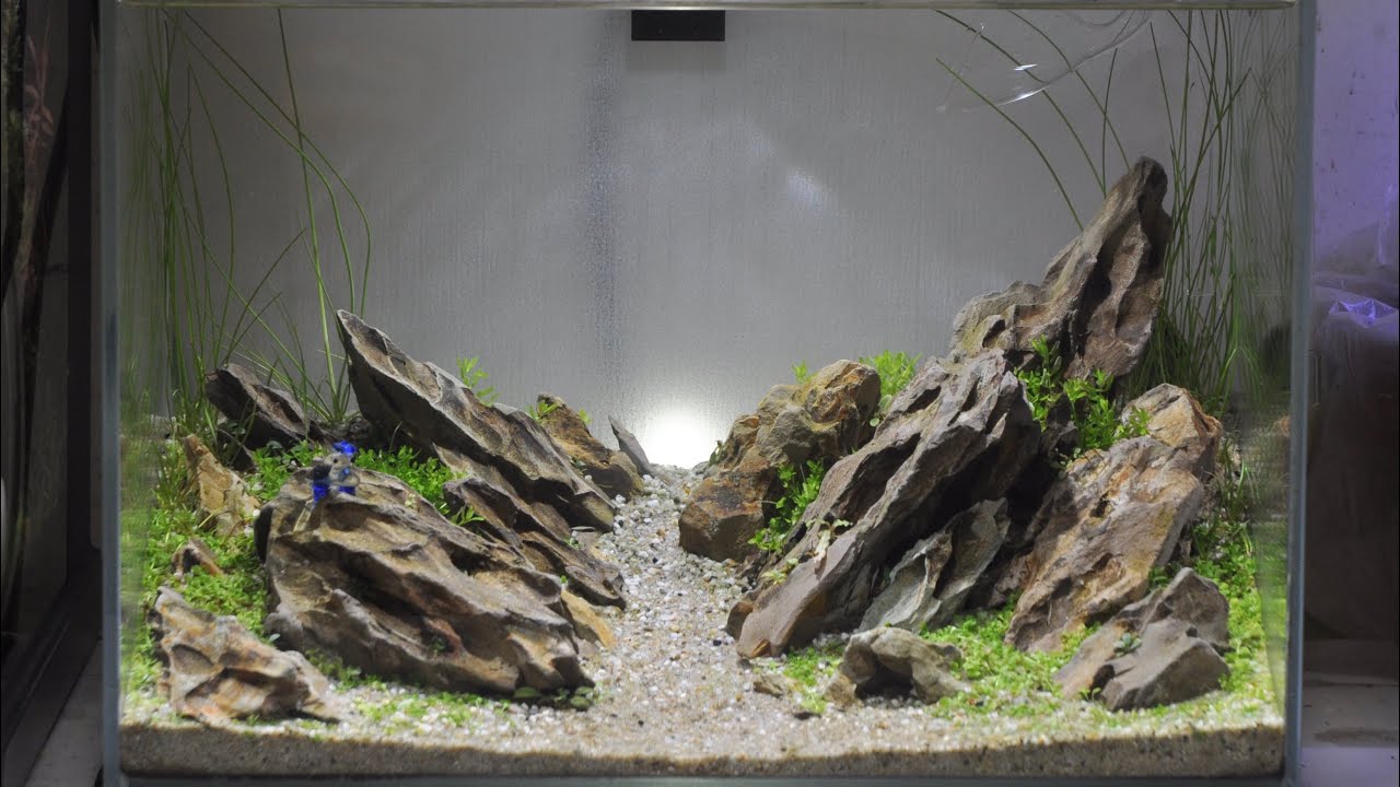 Dragonstone Aquascape Dry Start Method Flooding - YouTube
