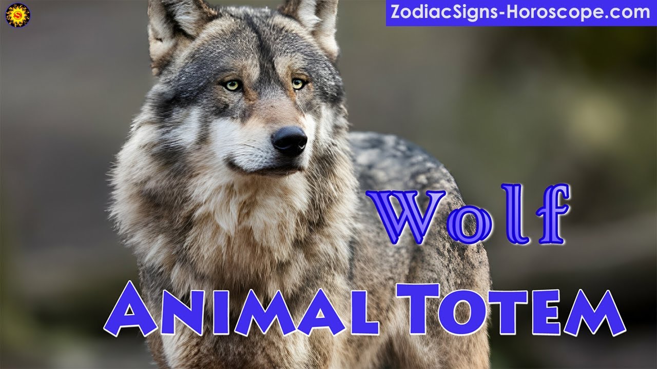 Wolf Animal Totem - Wolf Spirit Animal Meaning, Symbolism, Dream of the ...
