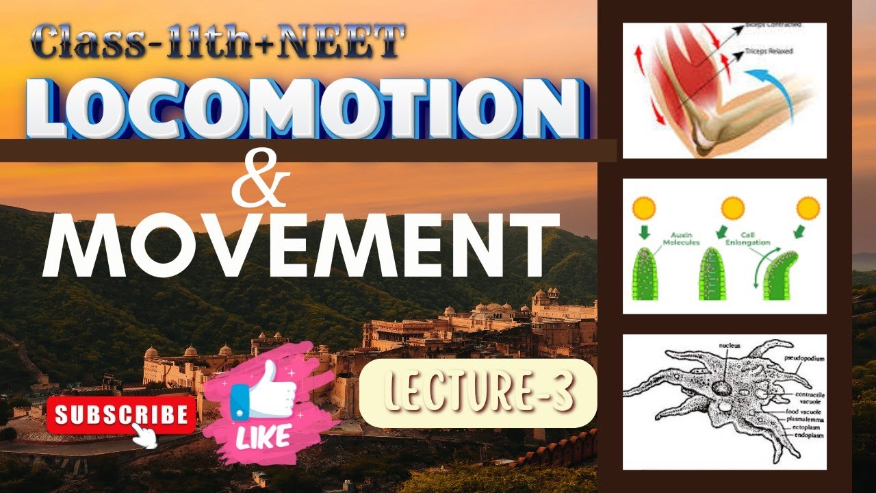 BIOLOGY L3- LOCOMOTION AND MOVEMENT |ENLIGHT BATCH NEET 11 PCB ELITE ...