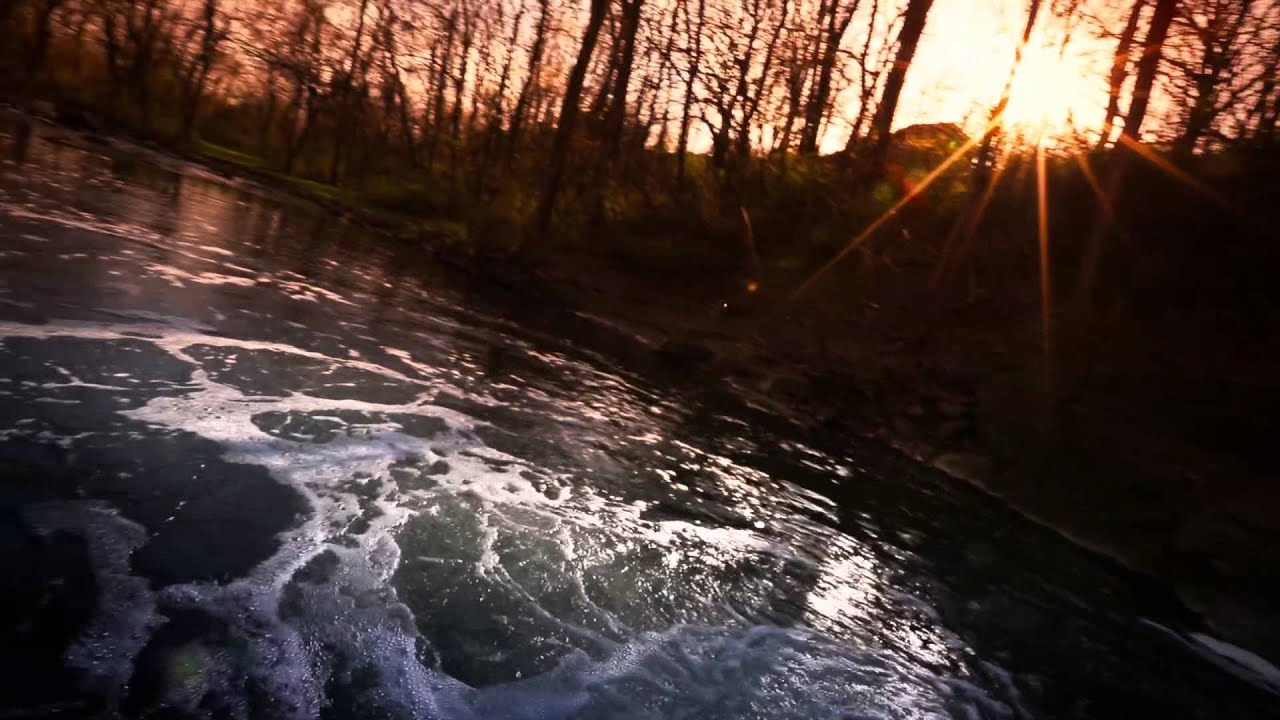 A Look Inside the Millport Conservancy - YouTube