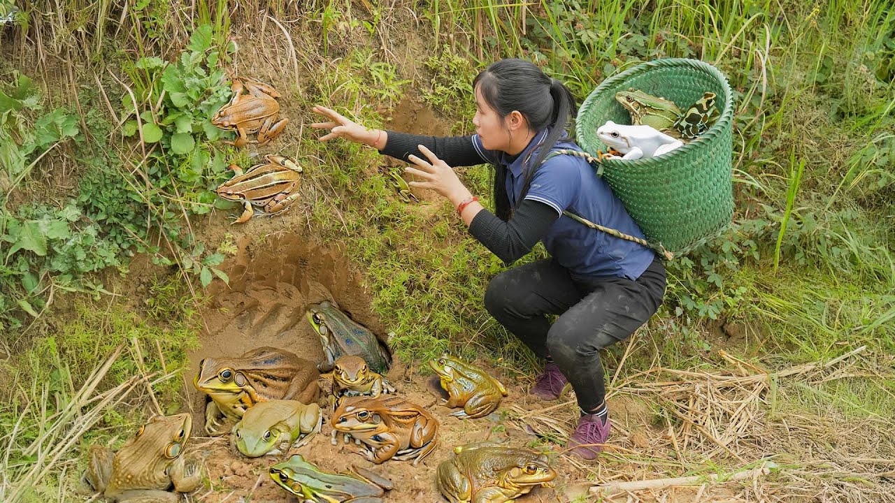 Harvesting 50 Big Frogs in the Cave and Sell Them at the Market | Ella ...