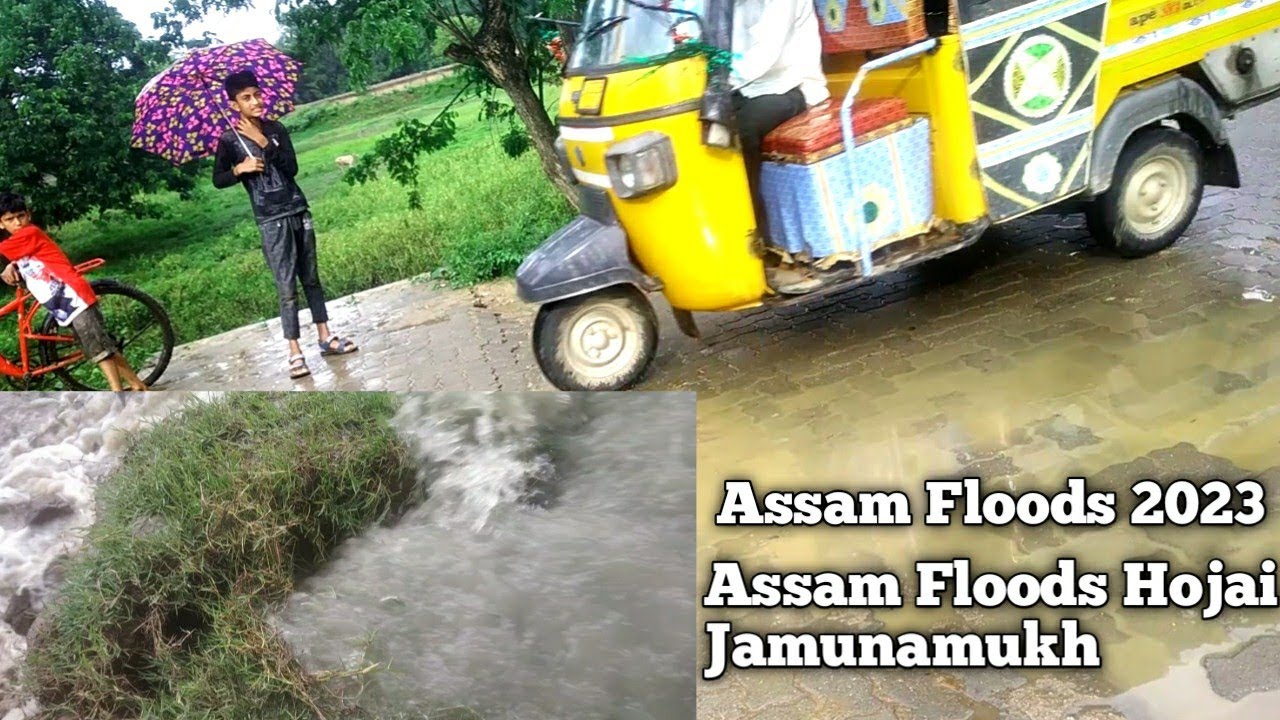 Assam Floods 2023 | Assam Floods Hojai Jamunamukh | 16 June 2023 ...