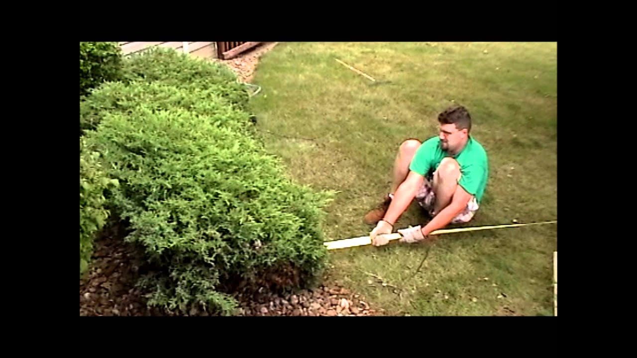 Man vs Bush Pulling Fail - YouTube