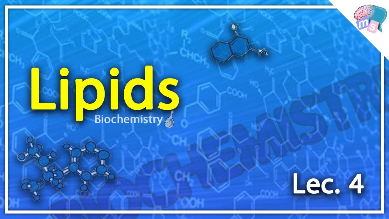Biochemistry Lipids Lec4 Youtube