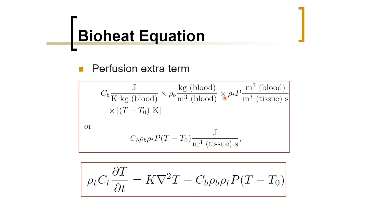 Biomedical Physics: Bioheat Equation (Arabic Narration) - YouTube