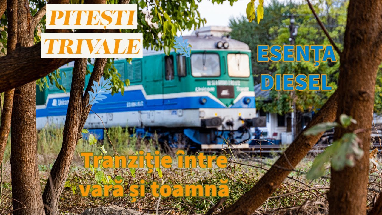 Trenuri in Pitesti la tranzitia dintre vara si toamna + BONUS Padurea ...