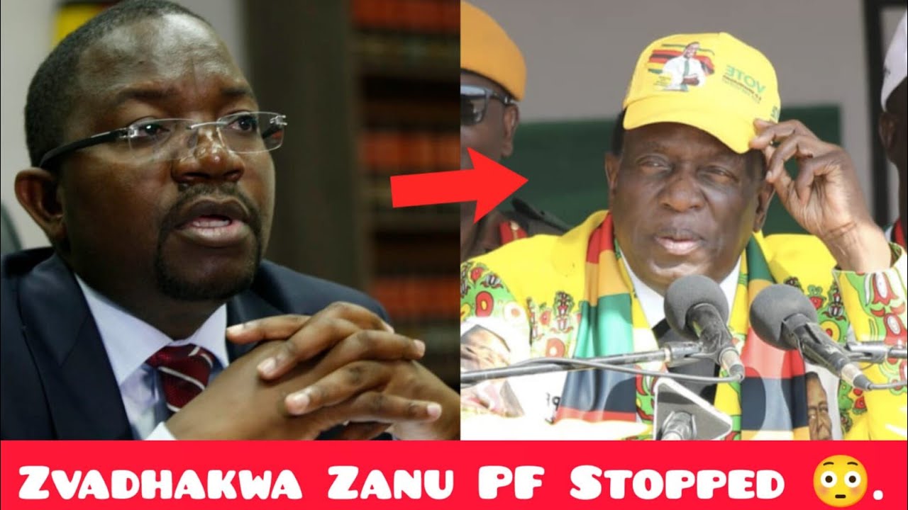 Chamisa's Lawyer Stops Zanu PF After This Happened 😳 - YouTube