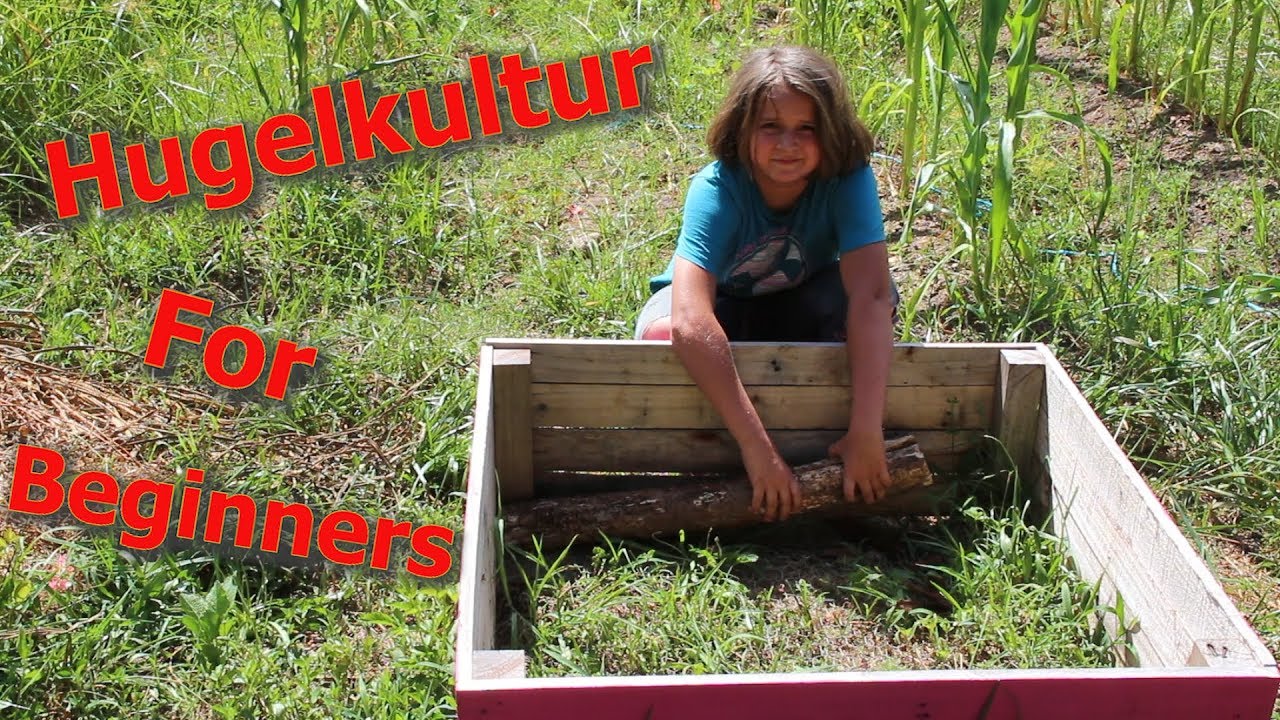 Hugelkultur For Beginners - YouTube