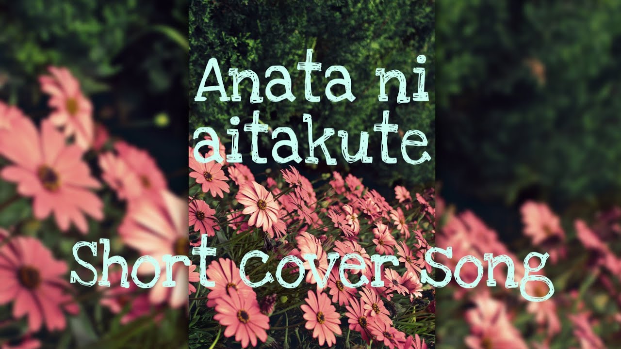 Anata ni Aitakute Short Cover Song By Me :') - YouTube