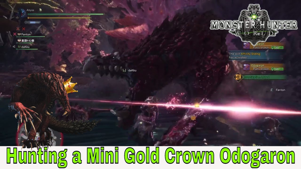 Monster Hunter: World - Mini Gold Crown Odogaron (Hunting a Odogaron ...