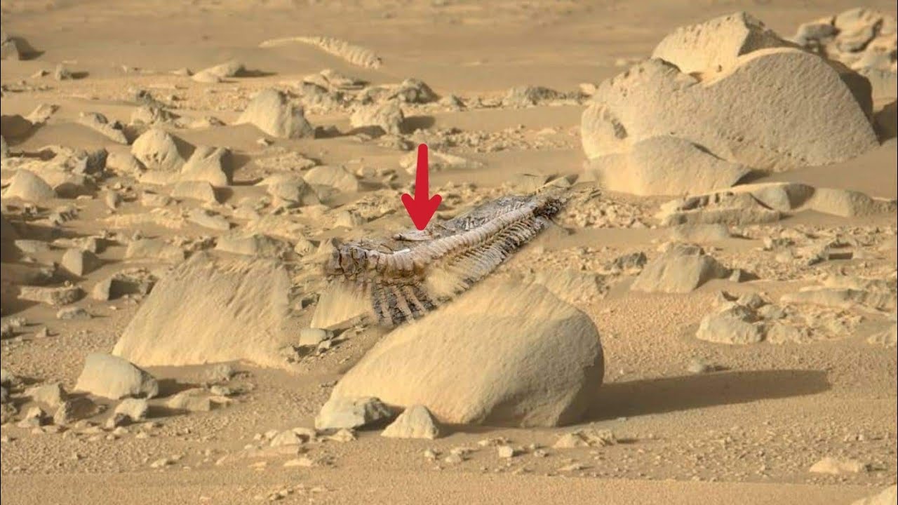 Mars Rover Released the most Fascinating 4k Stunning video Footages of ...