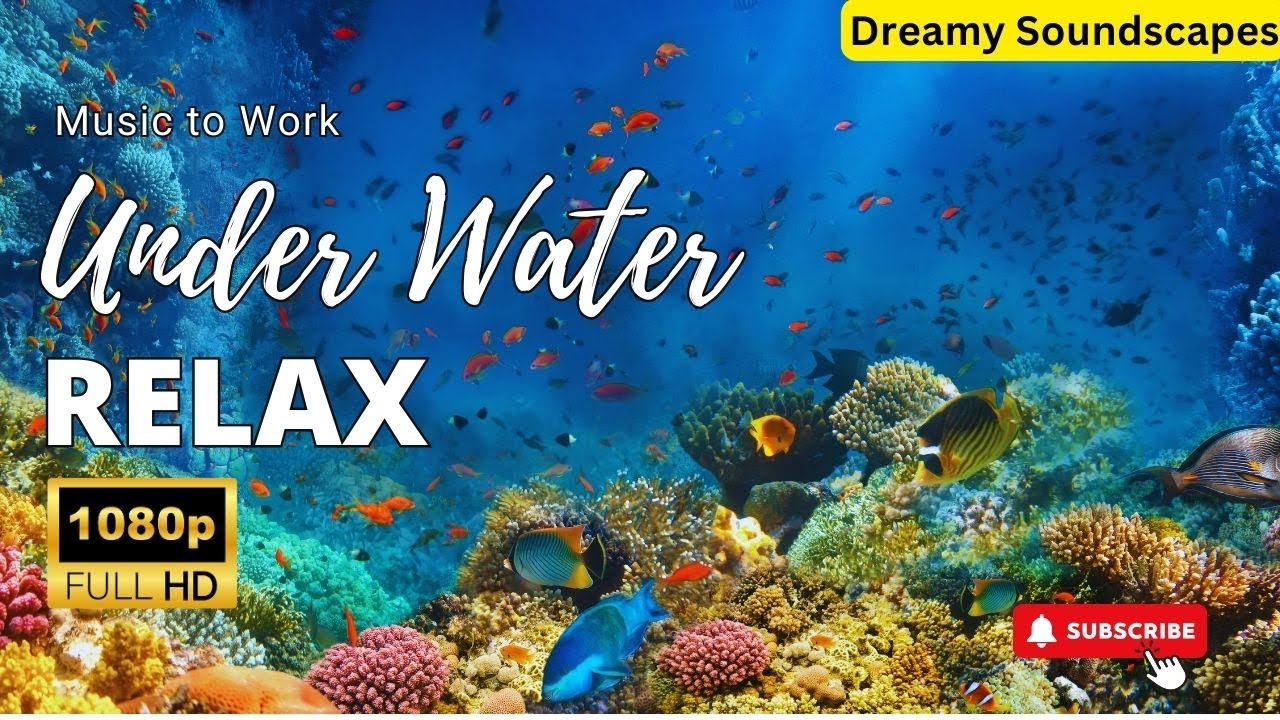 3 HOURS Stunning Underwater footage + Music | Nature Relaxation Rare ...