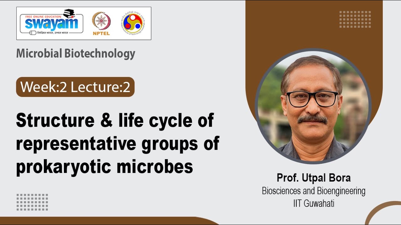Lec 6: Structure & life cycle of representative groups of prokaryotic ...