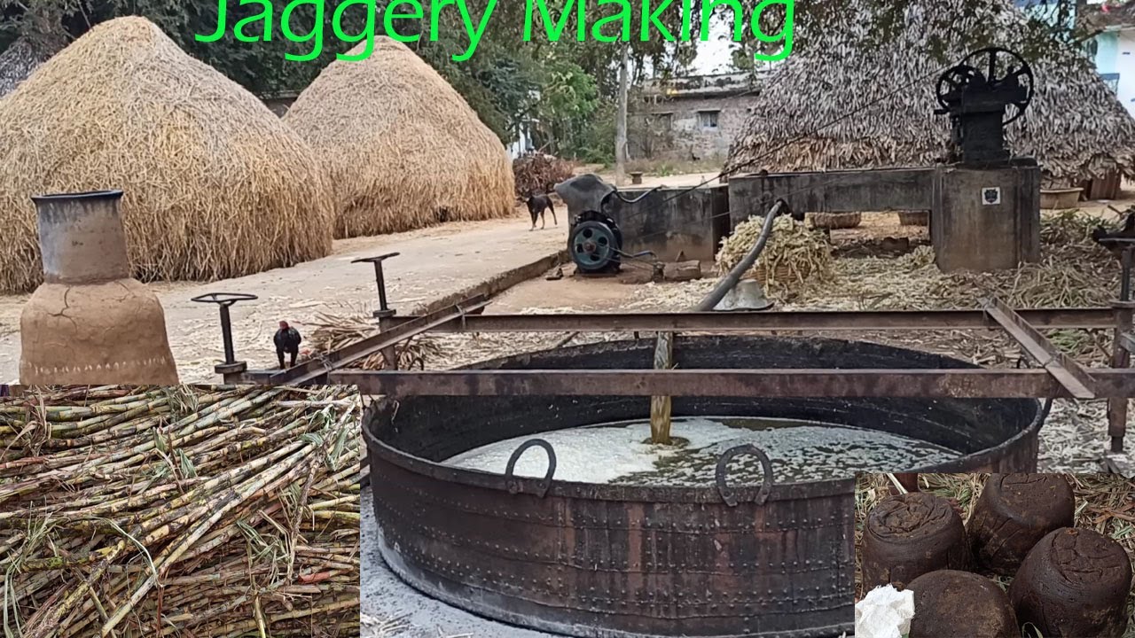 Traditional Jaggery Making Process | Jaggery Making Step By Step ...