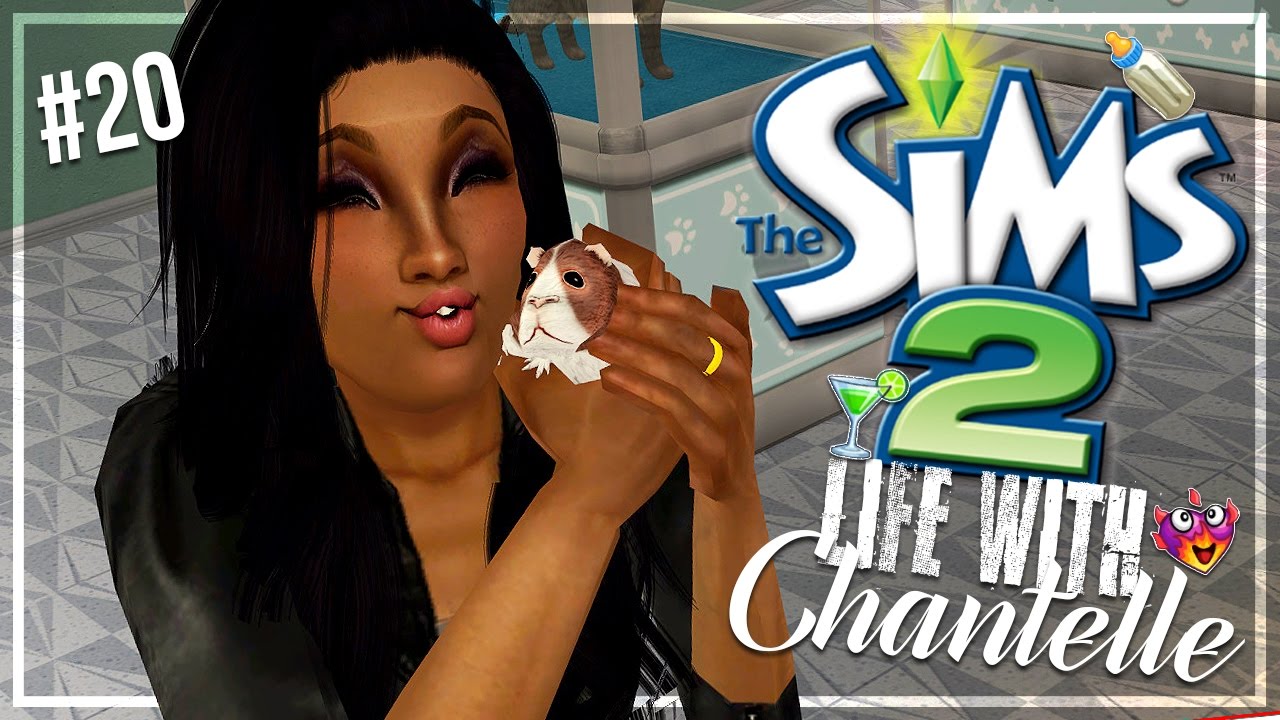 The Sims 2 | Life With Chantelle - Part 20 - FIRST HAMSTER!! - YouTube