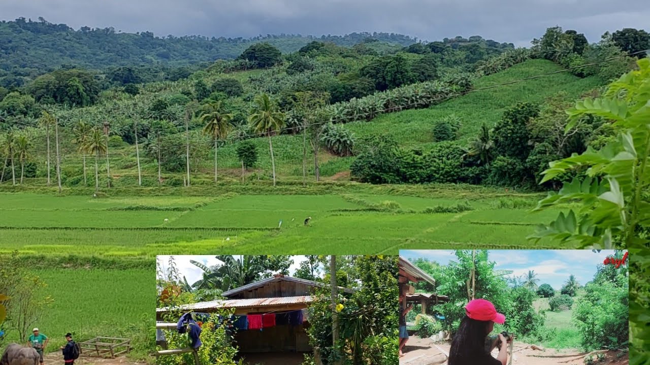 A simple life in the mountain /Philippines life province life - YouTube