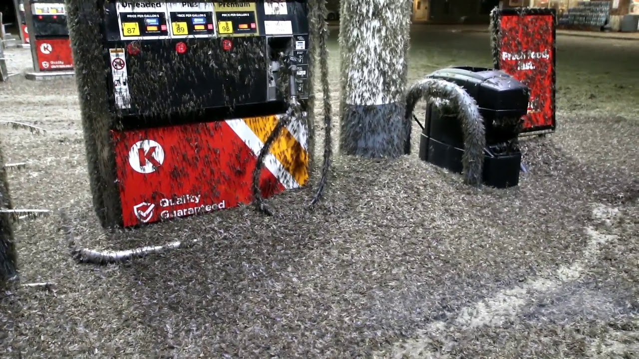 07-03-2020 Burlington, IA - Huge Mayfly Swarm - YouTube