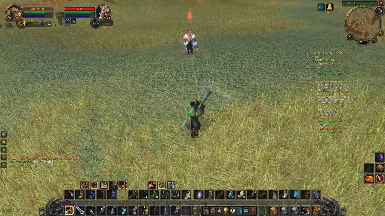 World of Warcraft Classic - Orc Hunter #42 - YouTube