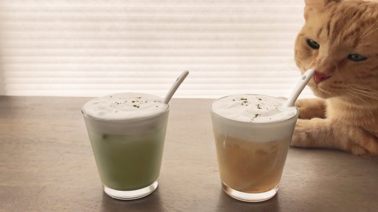 Matcha + Green Tea Cheese Tea Recipe - YouTube