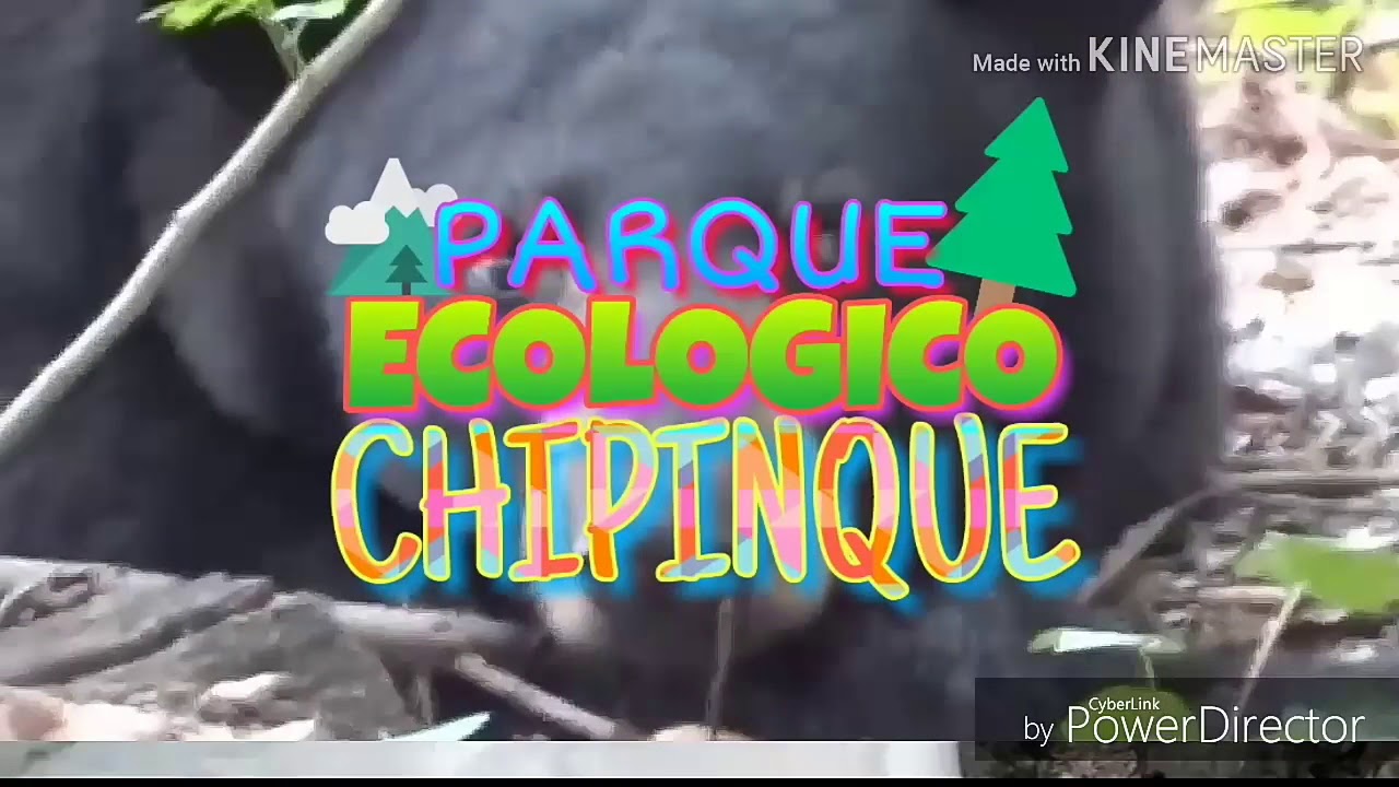 🌈🐻¡Parque Ecológico Chipinque!🌲🐝 | Meseta De Chipinque | Miranda_Gómezz ...