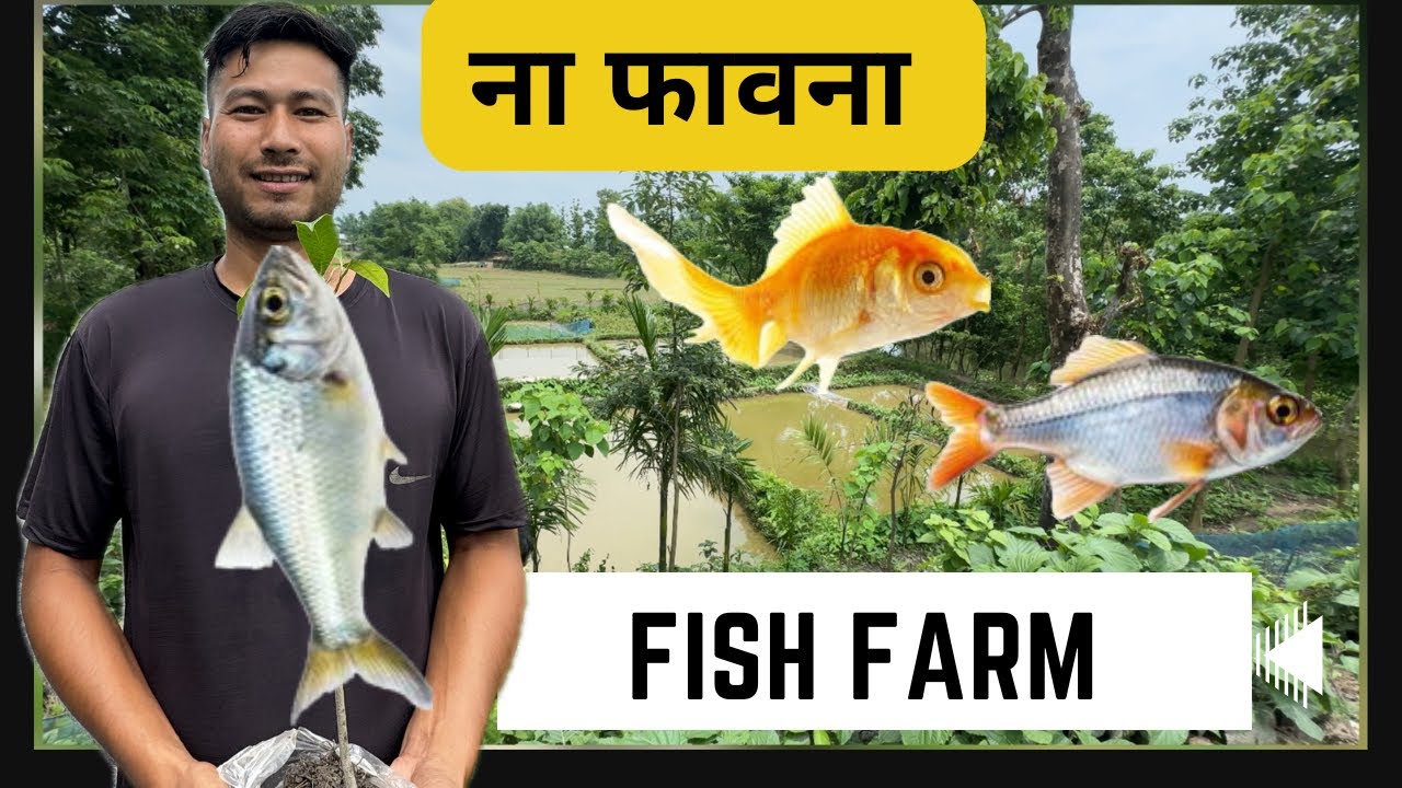 Fish farming - YouTube