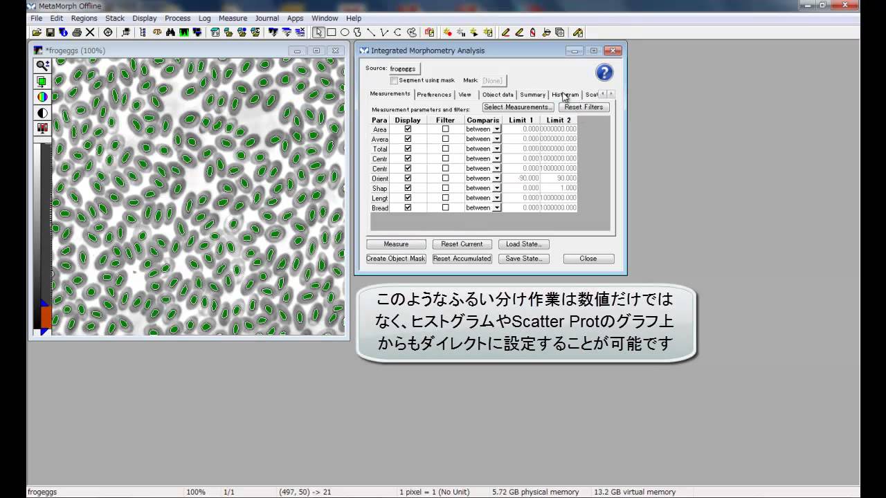 MetaMorph Integrated Morphometry Analysisについて - YouTube