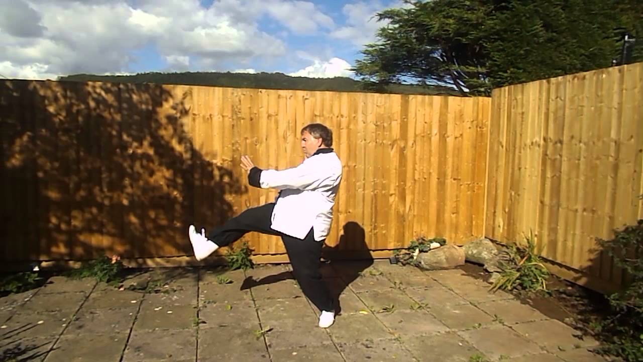 LFIAA Original Feng Shou-Gongfu Scooping Kick - YouTube