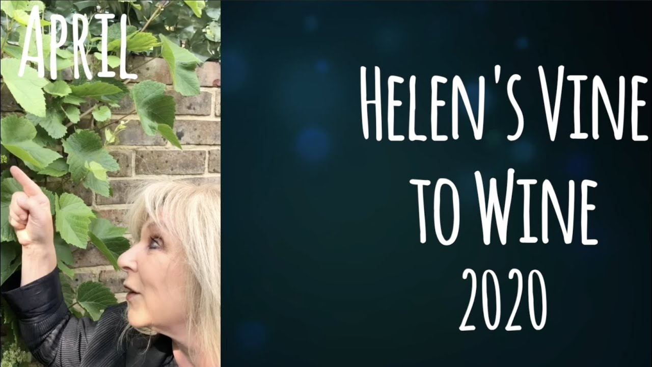 Helen's Vine to Wine 2020 - YouTube