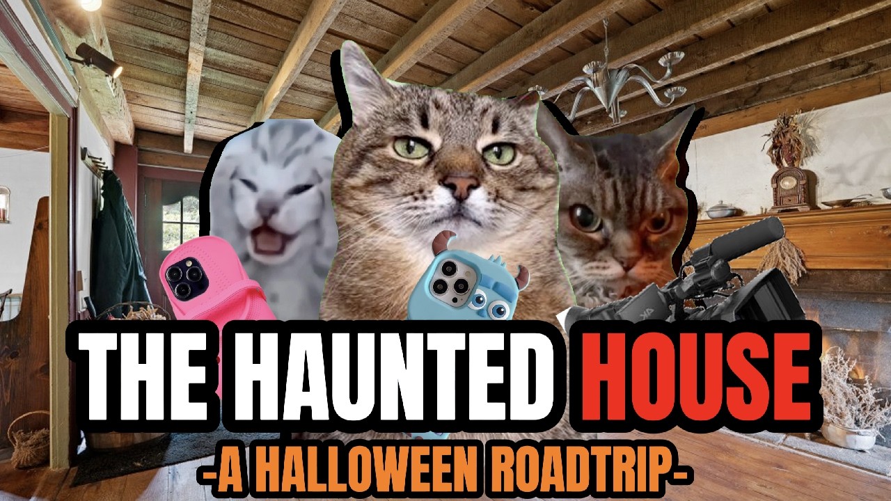 Cat MEMES: THE HAUNTED HOUSE - YouTube